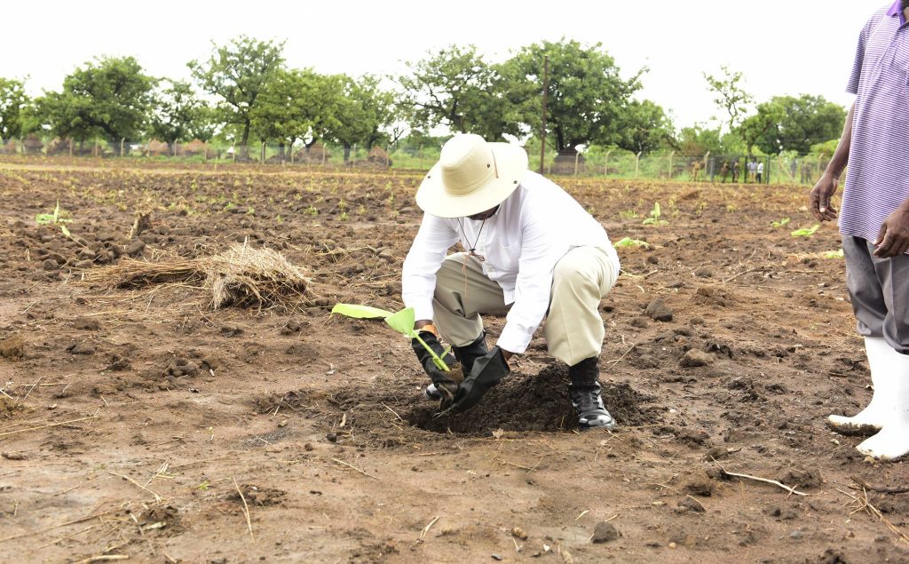 Museveni Launches Presidential Demonstration Farm in Lango - SoftPower News