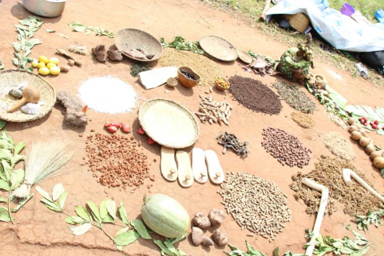 PHOTOS: Acholi Cultural Festival Climaxes on High Note - SoftPower News
