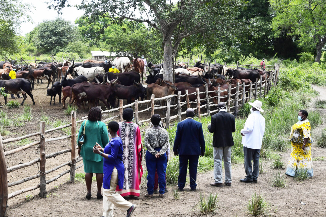 Museveni Praises Model Farmers in West Nile - SoftPower News
