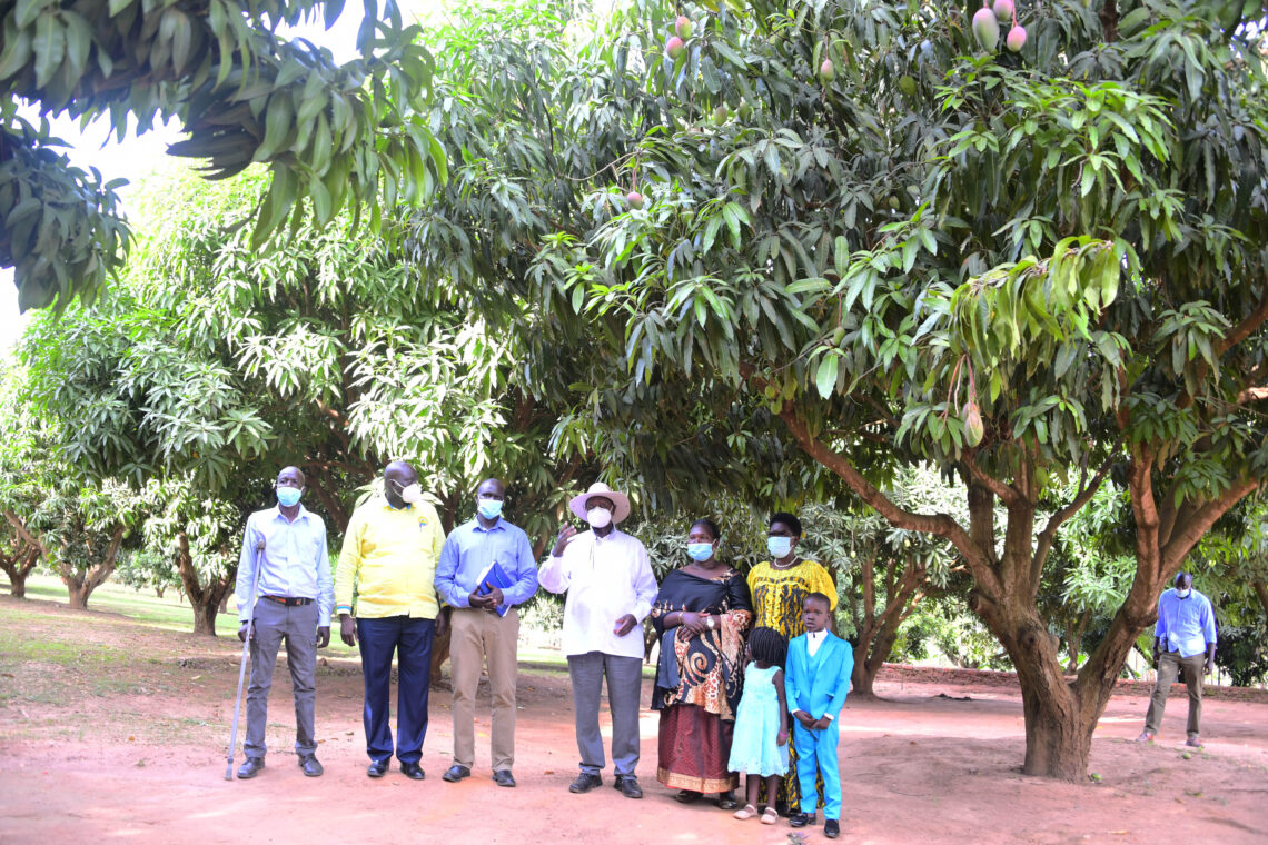 Museveni Praises Model Farmers in West Nile - SoftPower News